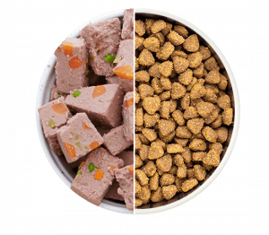 Natvoer of droogvoer voor je hond, wat is de beste keuze? - AODH